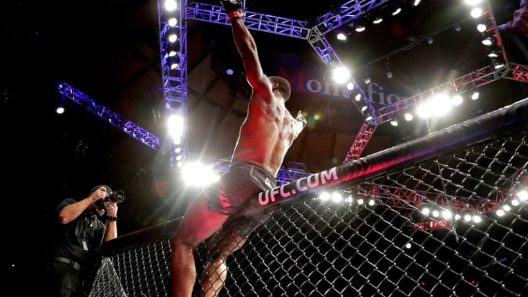 The Insider’s Guide to Navigating MMA Streams on Reddit – MSFT Place
